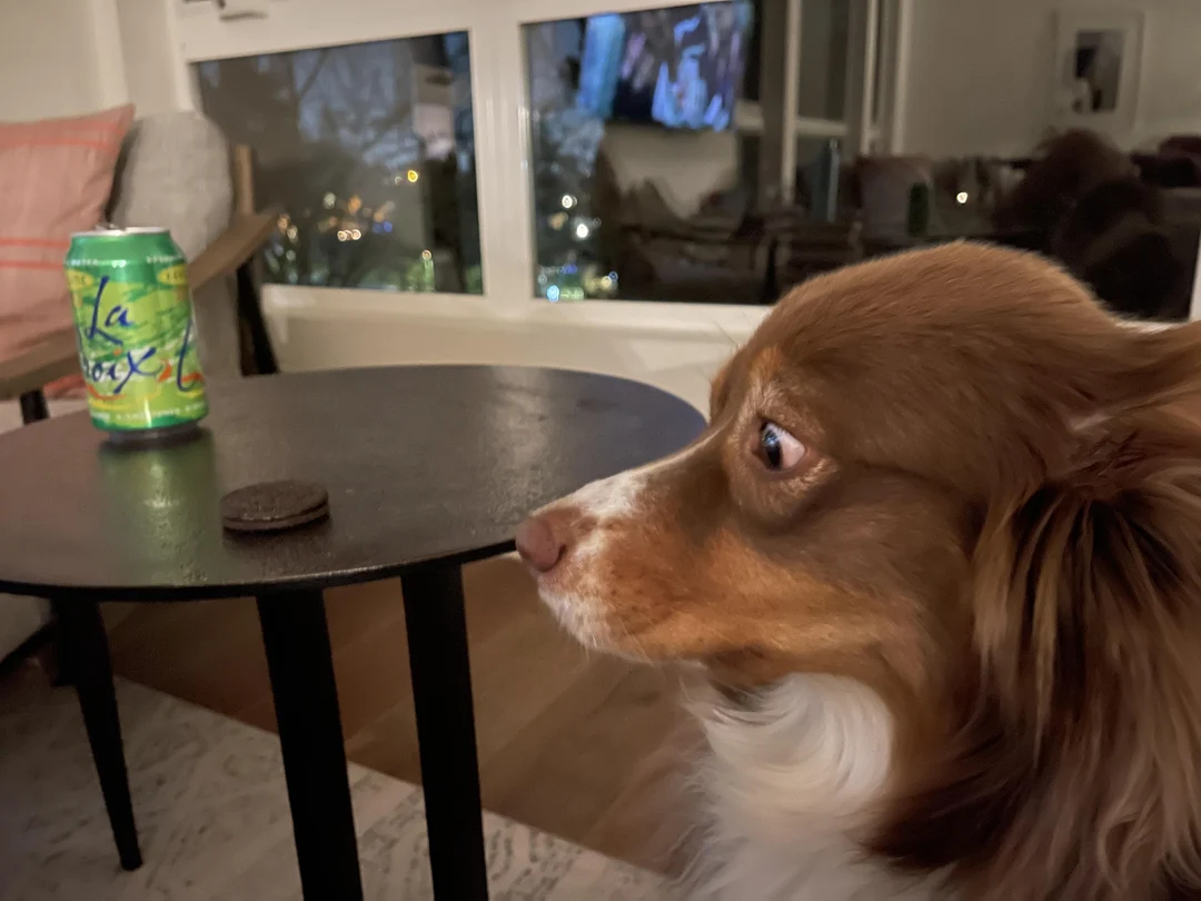 Her first Oreo encounter had her like 😳👀 | Scrolller