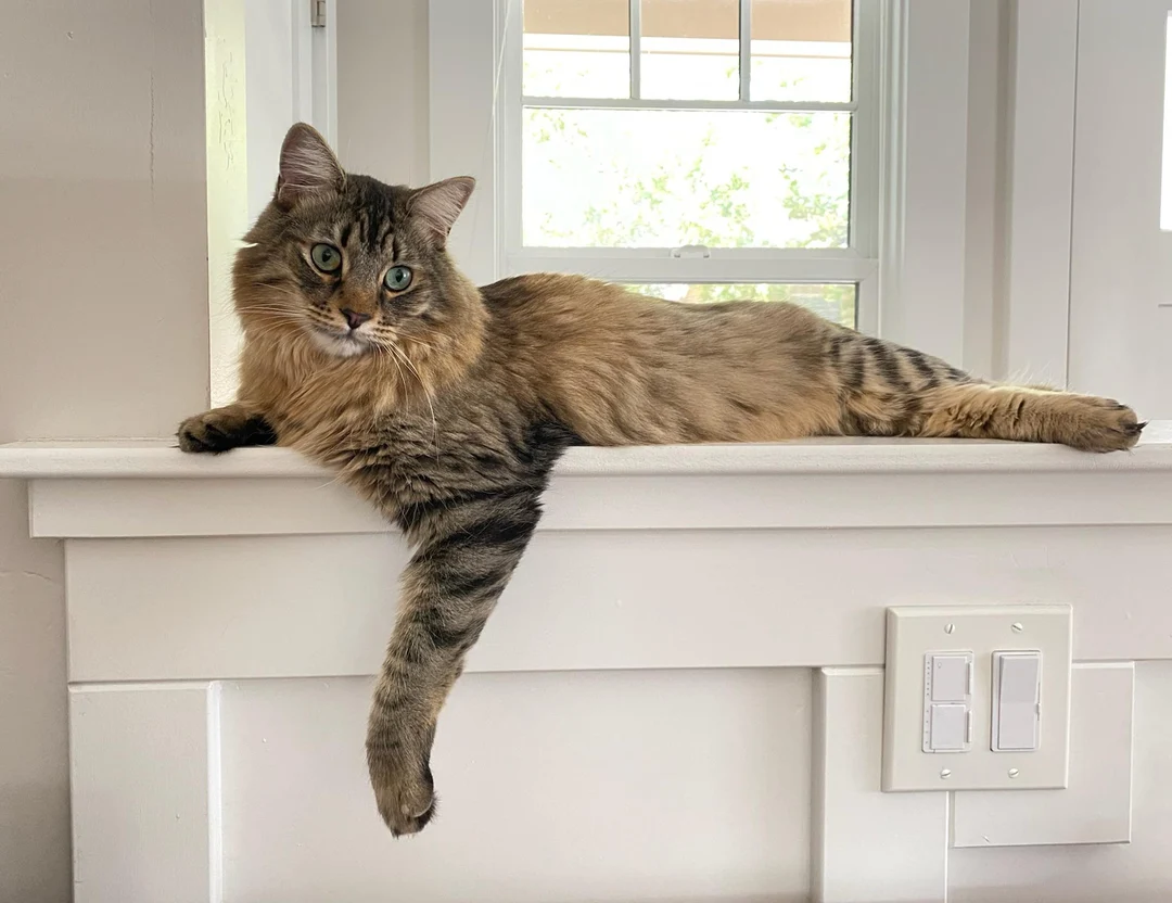 Milo strikes a pose 📸 | Scrolller