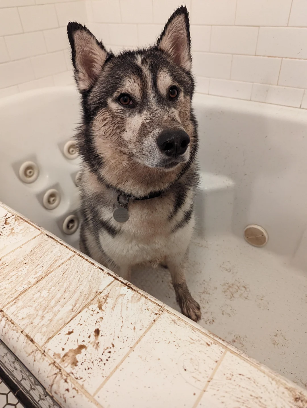 Whatcha doin? Just diggin | Scrolller