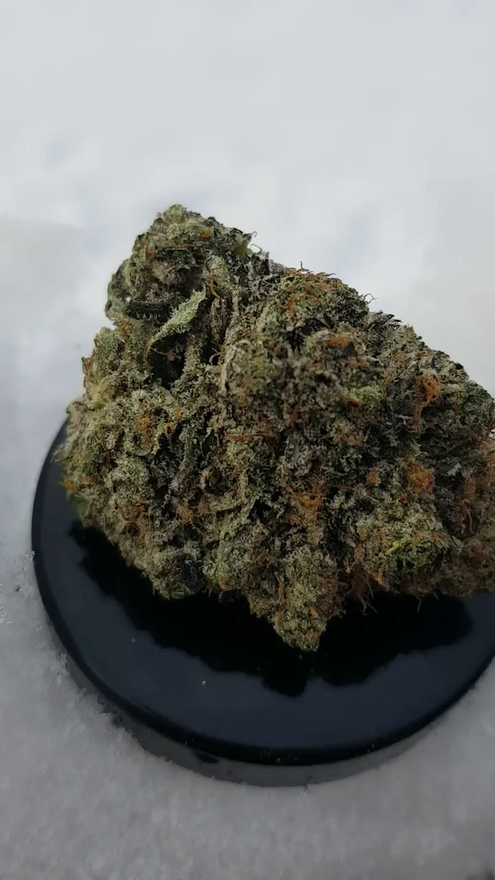 Black Gas Strain | Scrolller