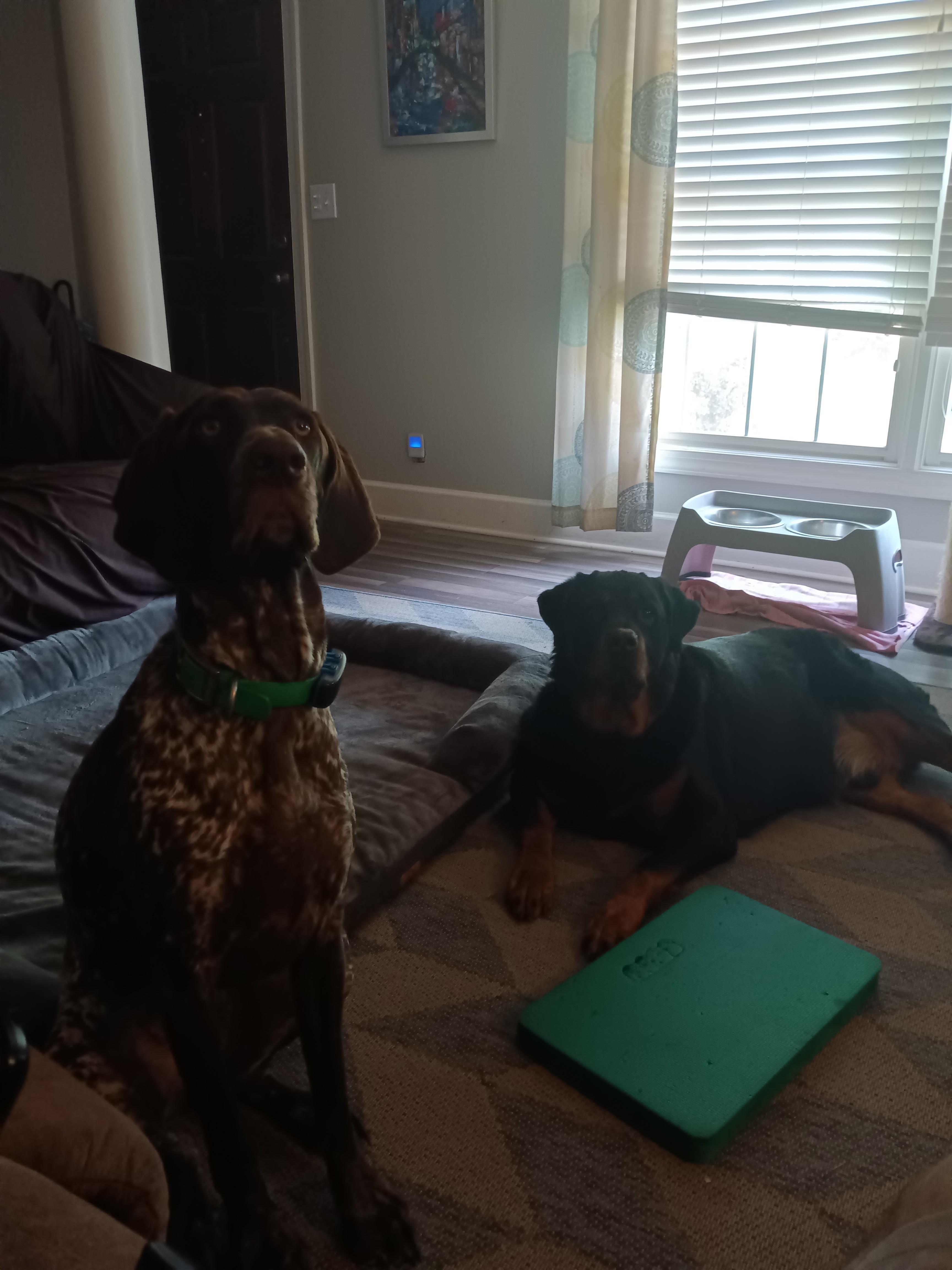 Behold the power of snacks | Scrolller