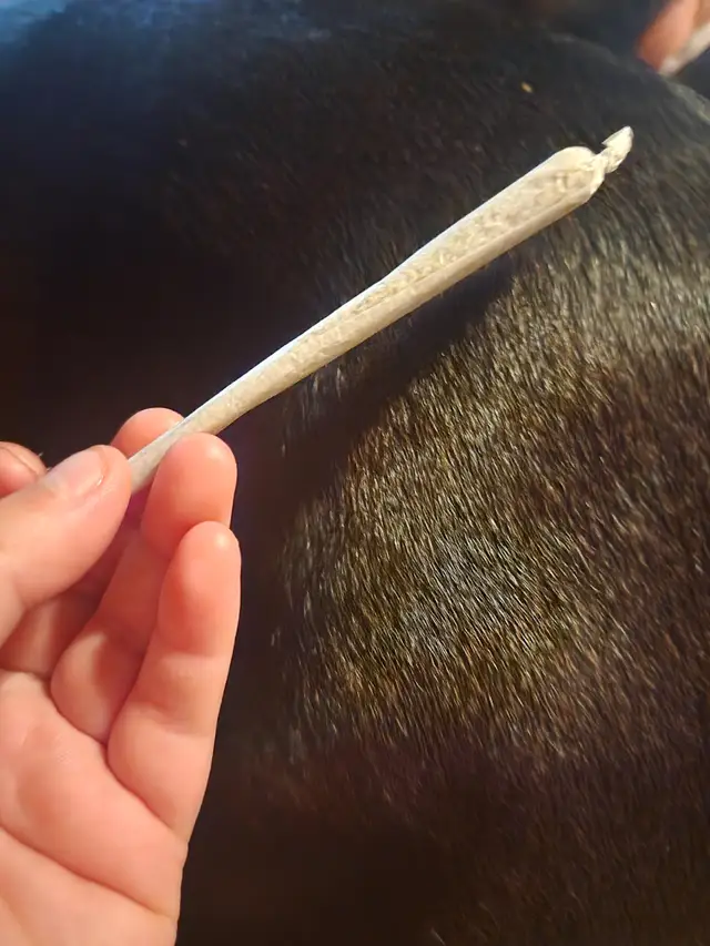 Rolling Skills Of My Bff Scrolller