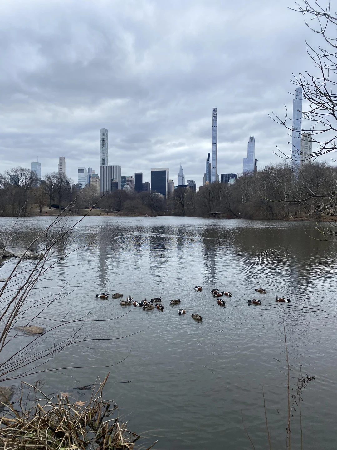Central Park, New York City. | Scrolller