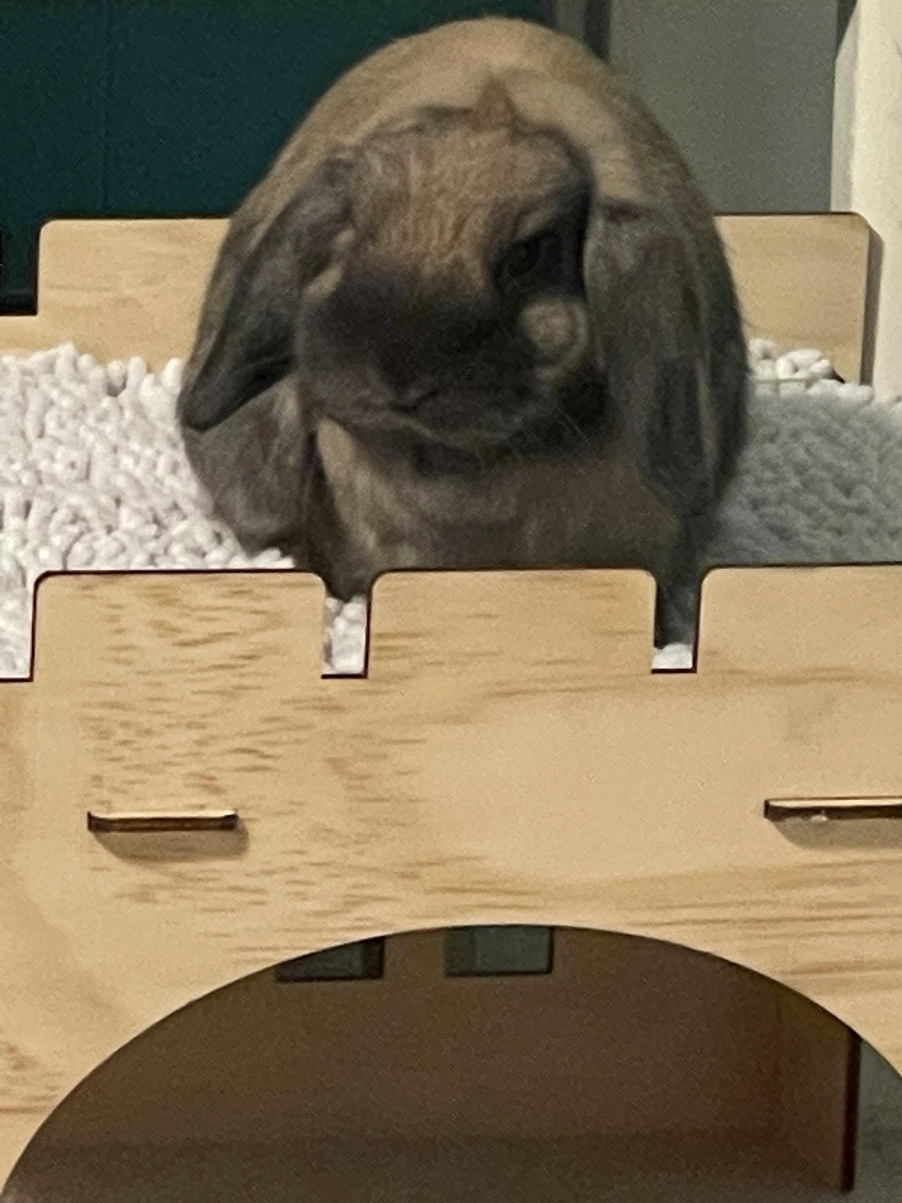 Mr.Grumpy says stay off my castle! 🏰 | Scrolller