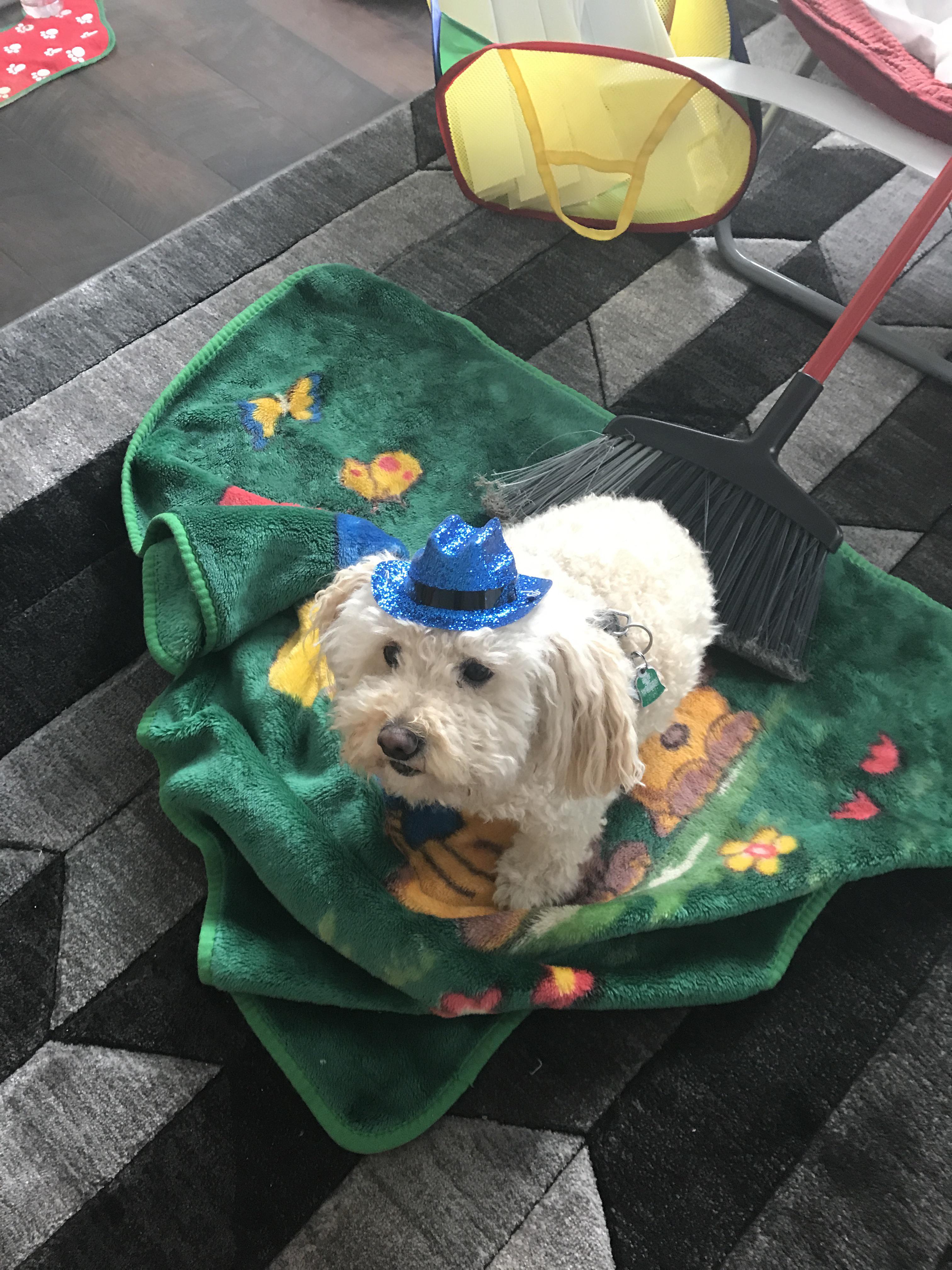 This Is Candy Scrolller
