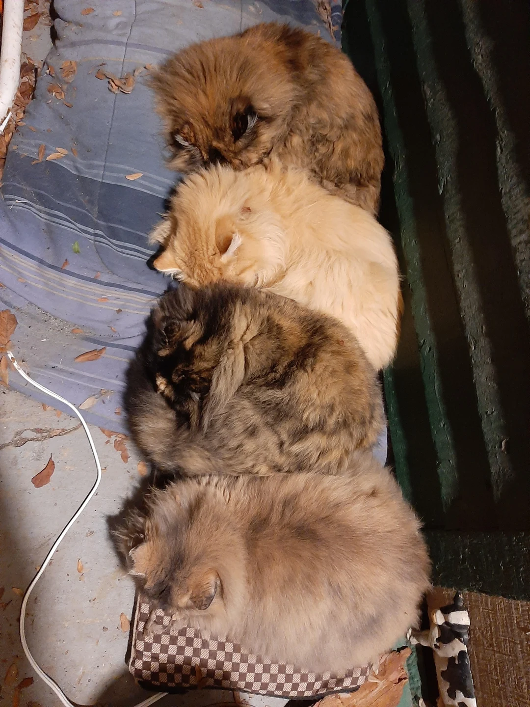 room for another? | Scrolller