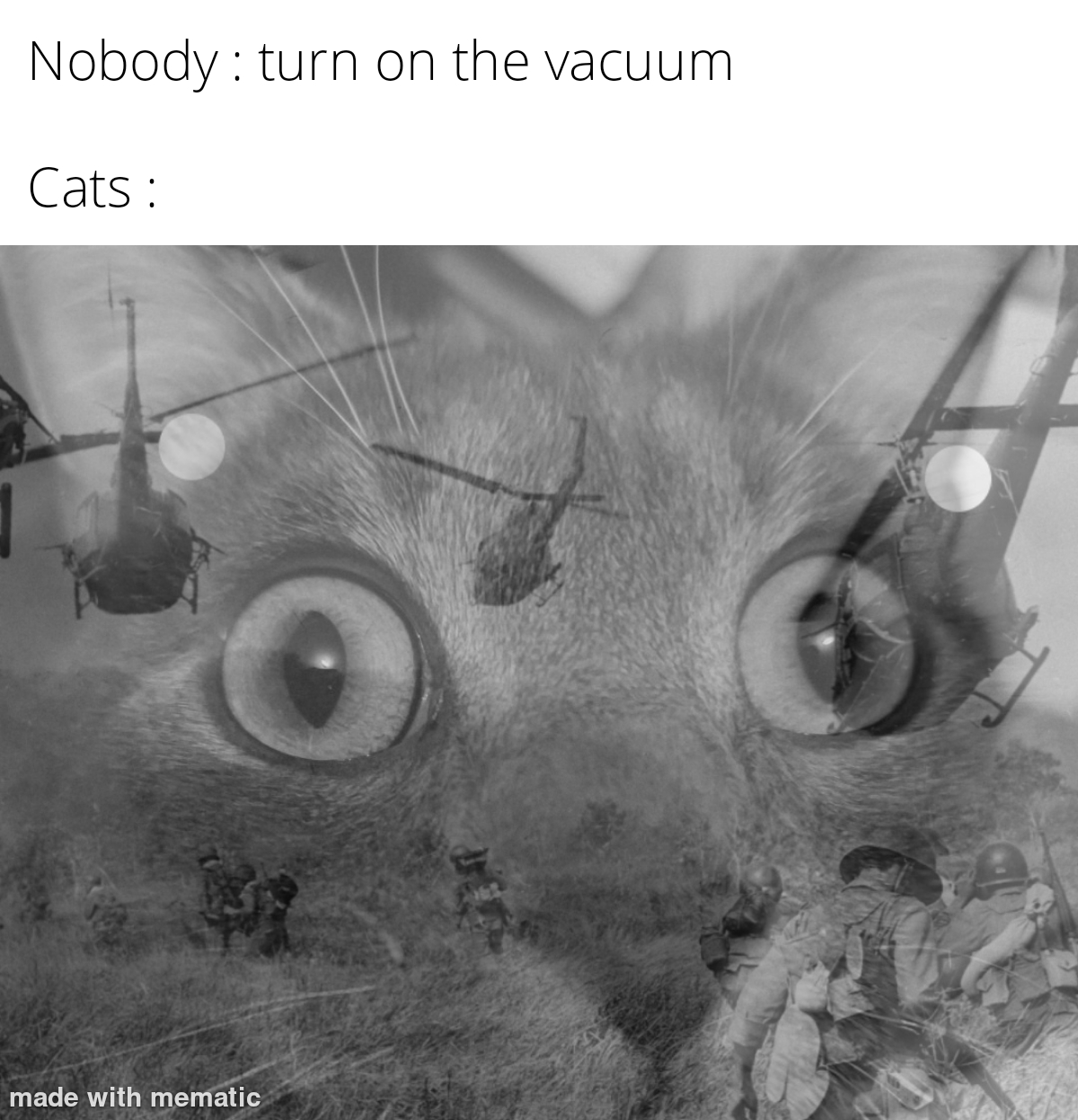 Honestly | Scrolller