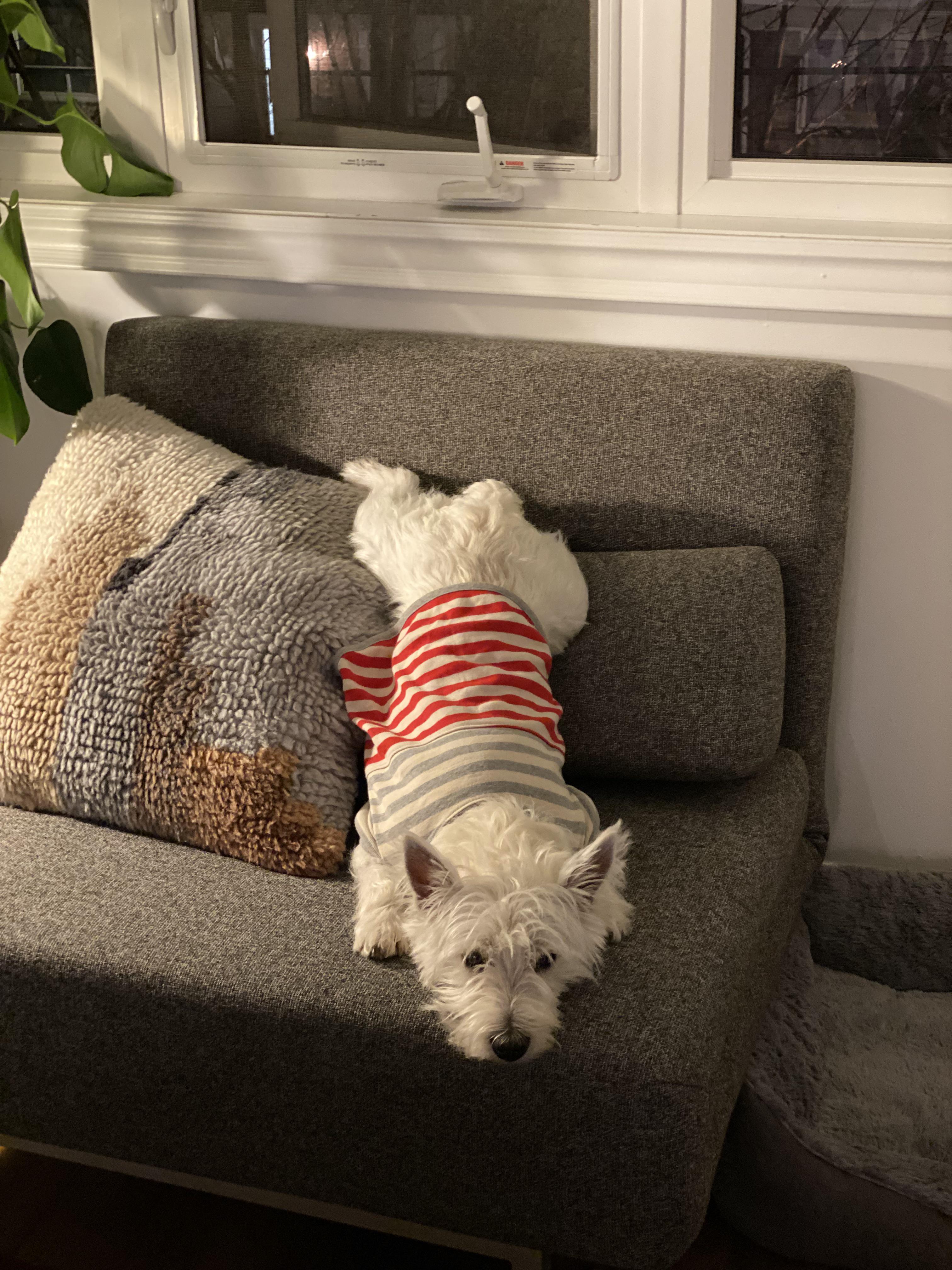 Luie in pyjamas! | Scrolller