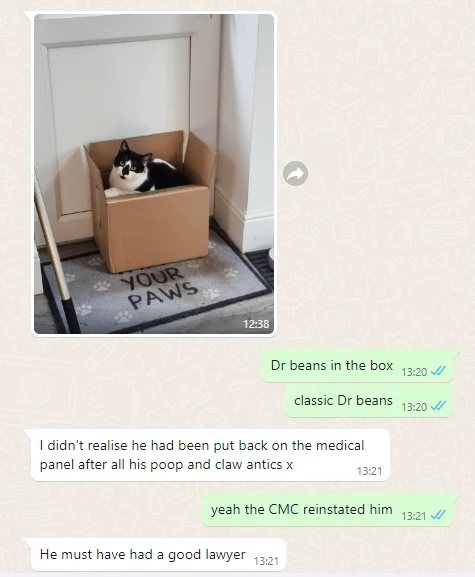 standard wife interaction | Scrolller