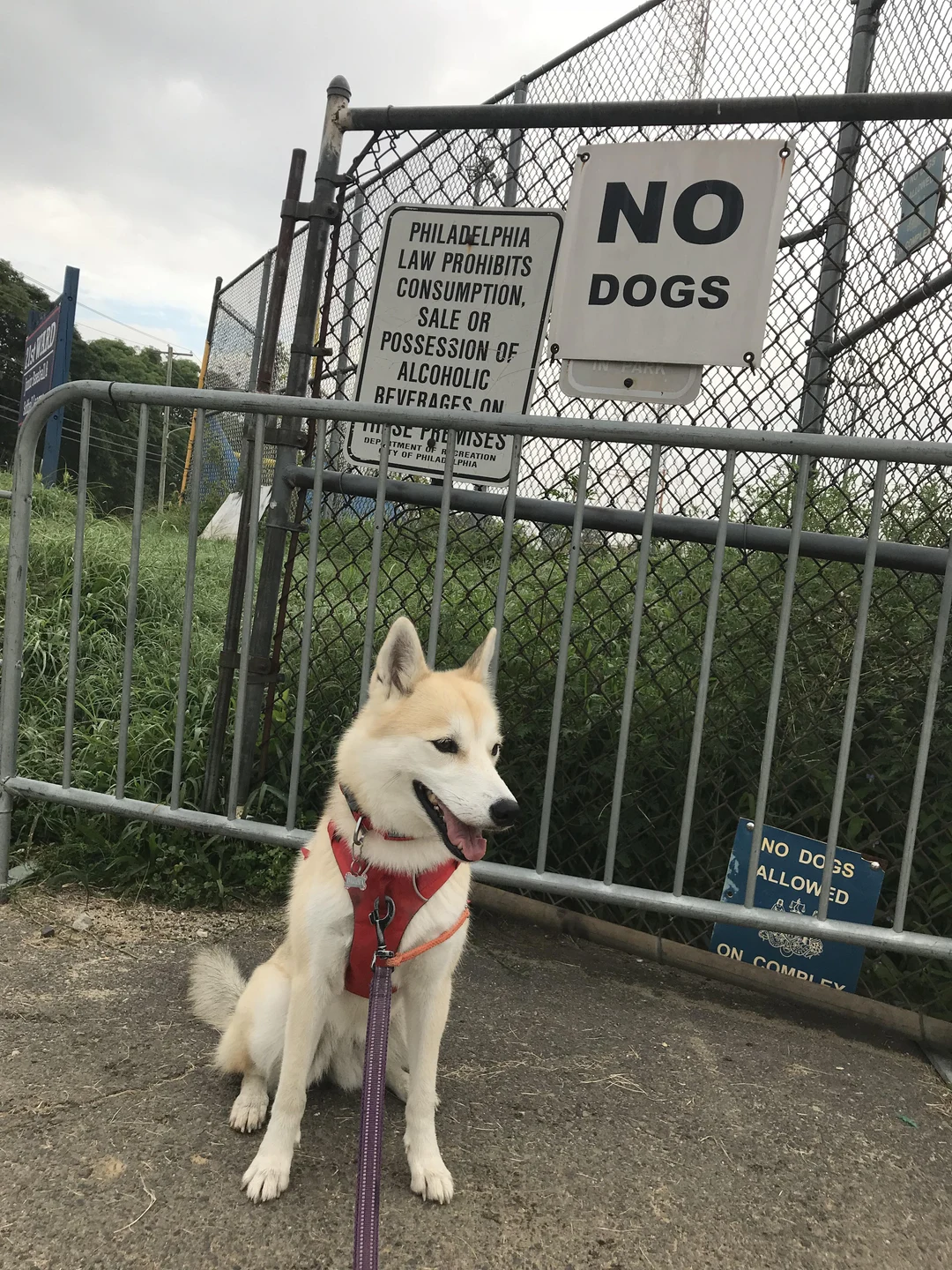 too bad dakota can't read .. | Scrolller