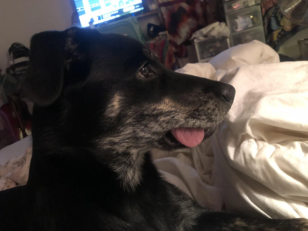 Here’s my derp!! | Scrolller