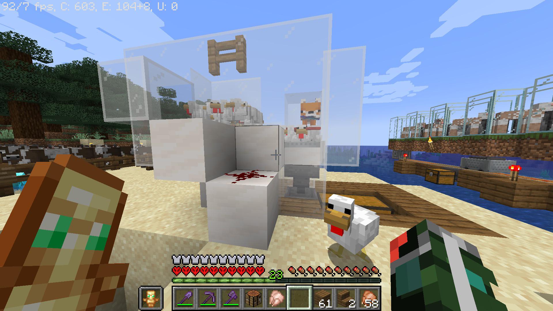 Chickens escaping from farm | Scrolller