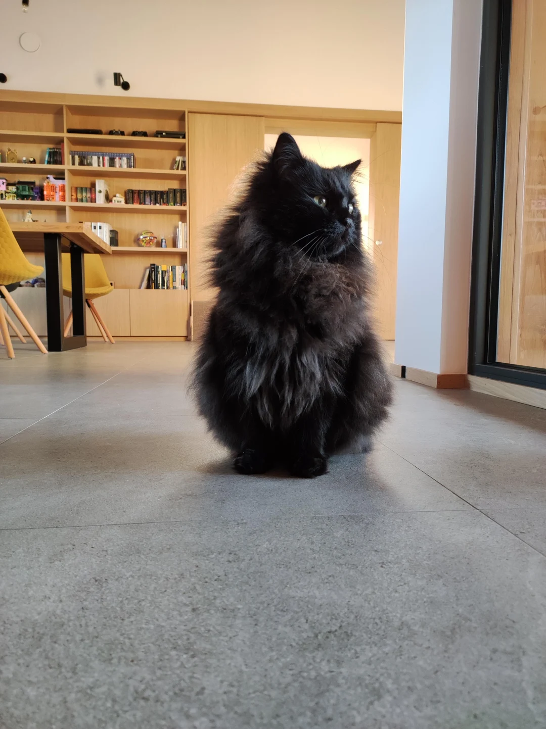 Winter floof | Scrolller