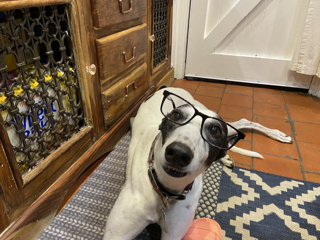 Intelligent | Scrolller