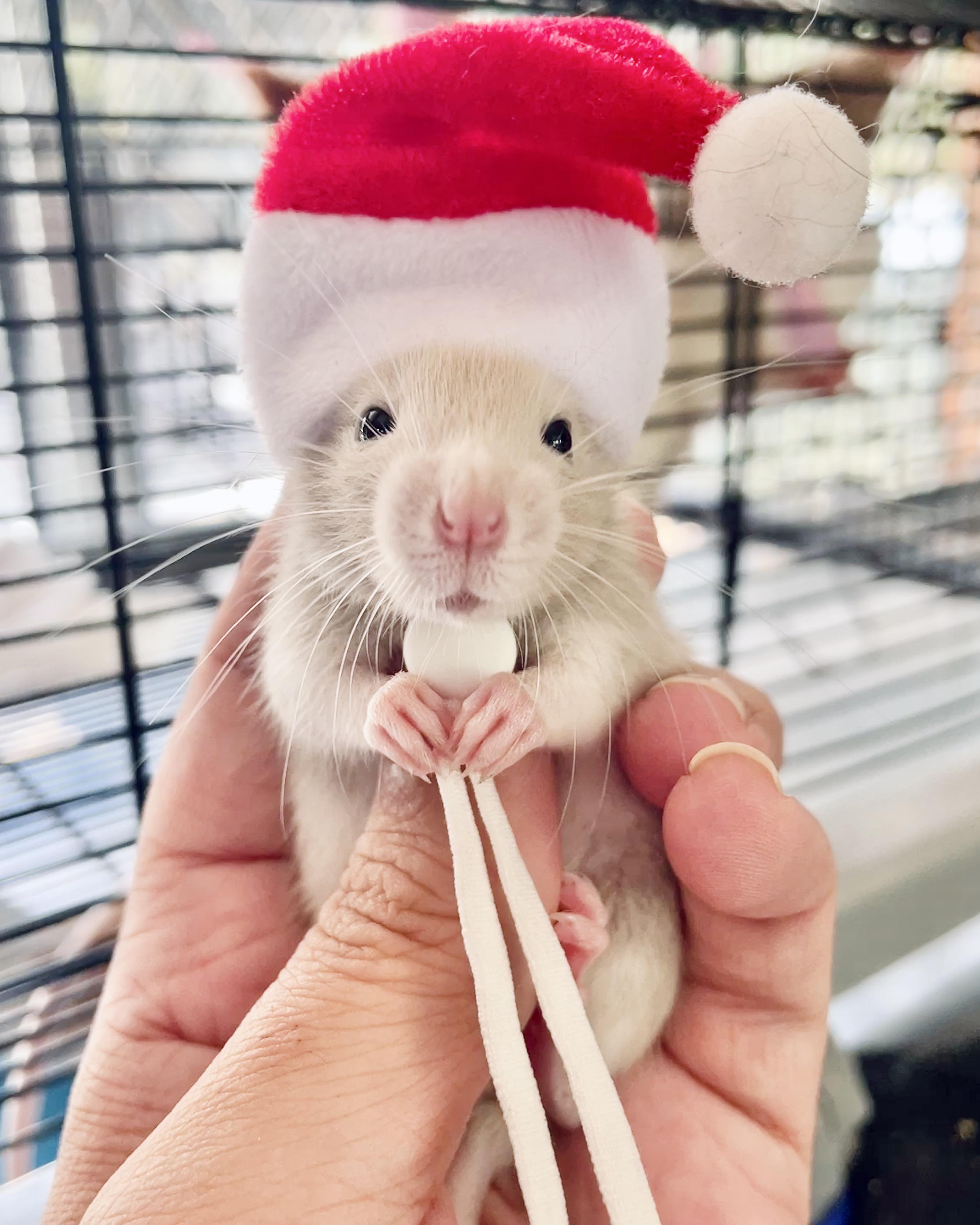 Dora appreciation post | Scrolller