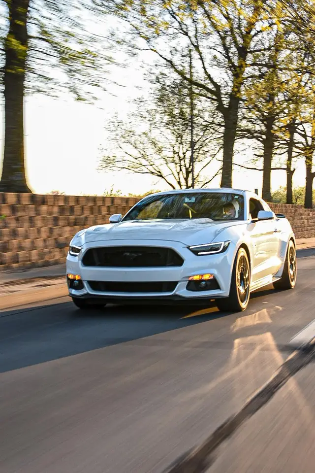 2017 Mustang GT Premium [1365x2048] | Scrolller
