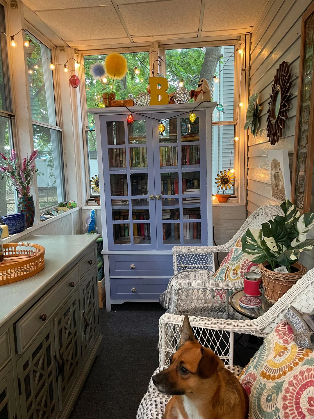 Easing into the day in the sunroom. | Scrolller