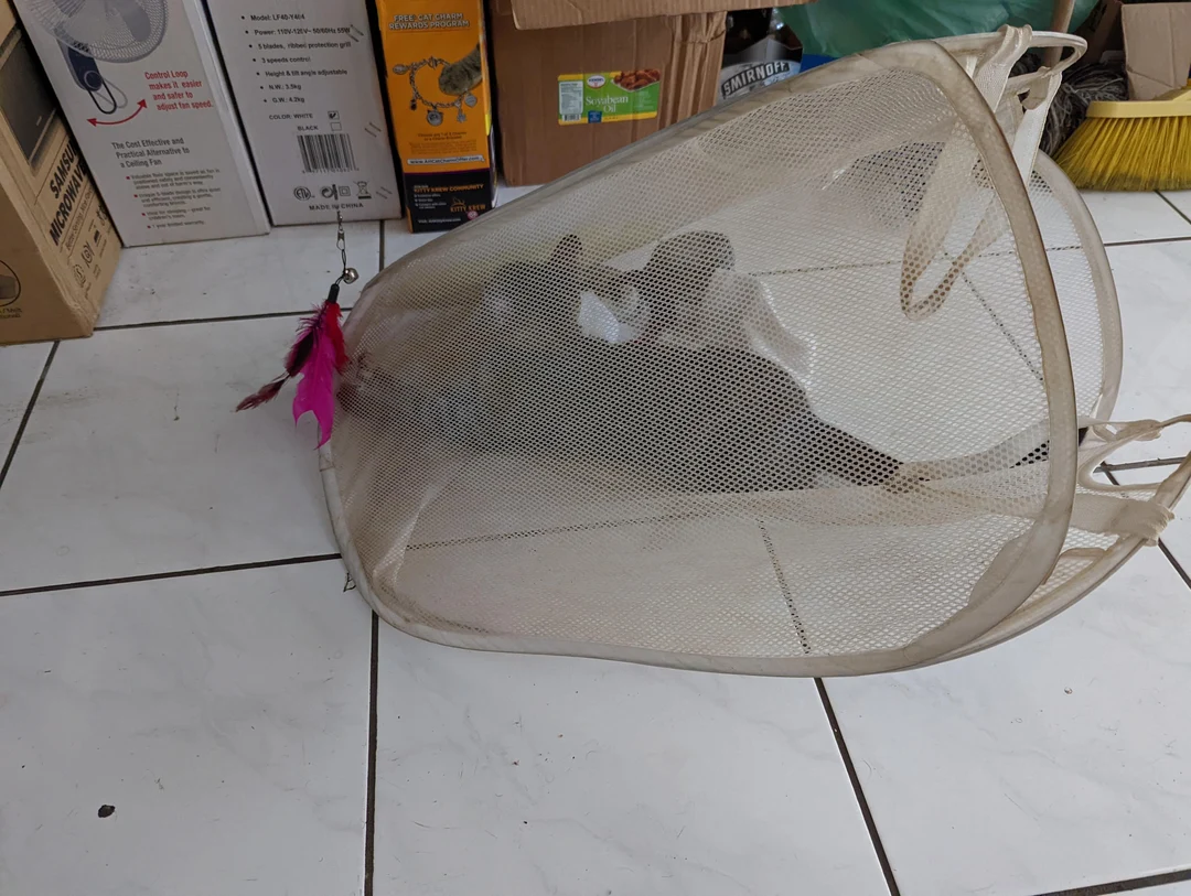 Trap ingredients: 1 hamper, 1 bait. | Scrolller