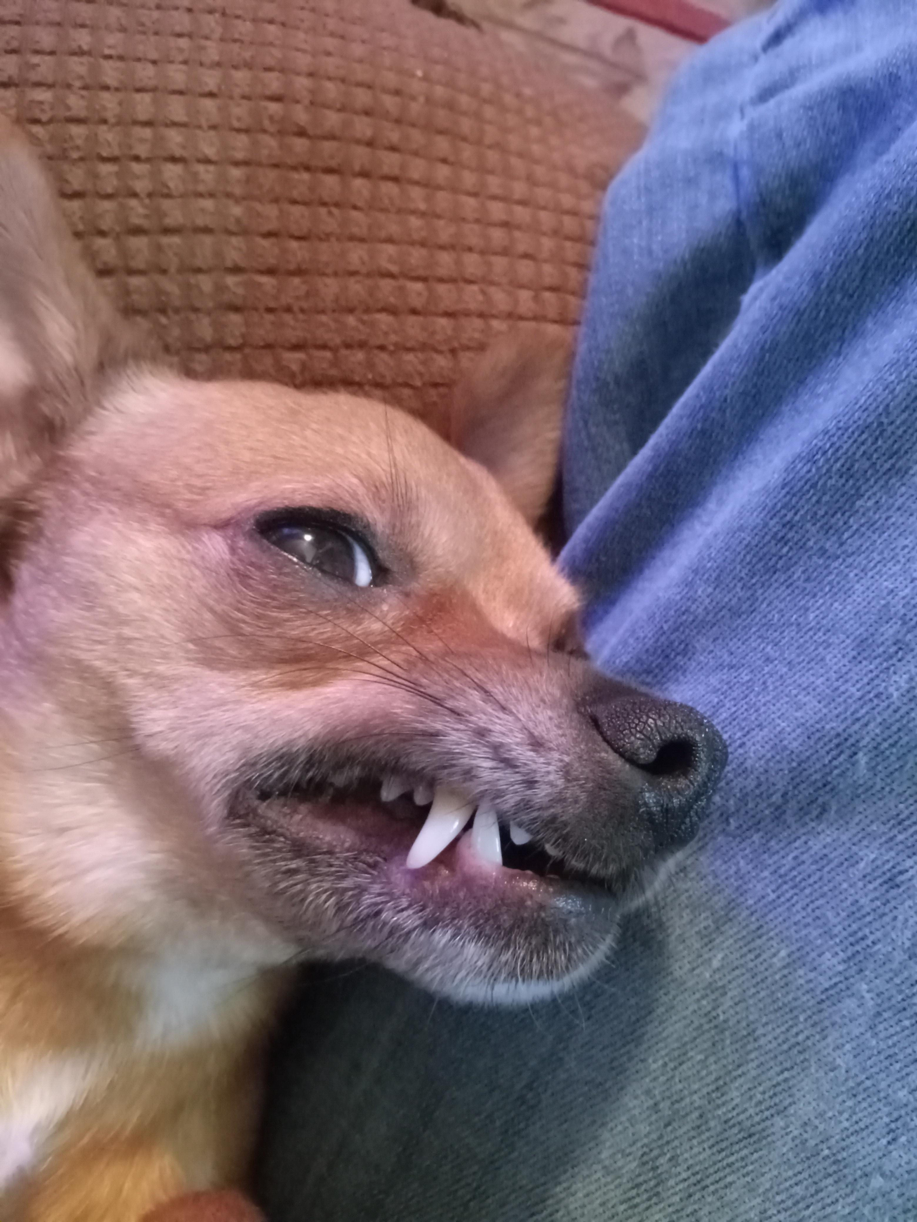 You good Jack? | Scrolller