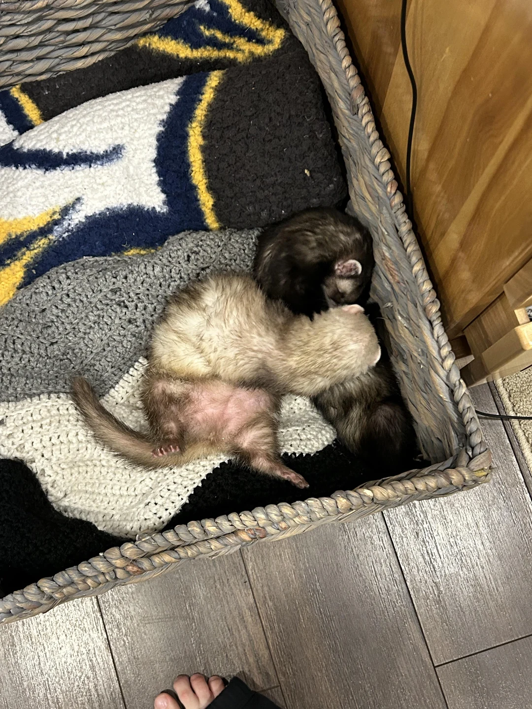 surely this cannot be a comfortable way to clean your sister, Peachy. | Scrolller