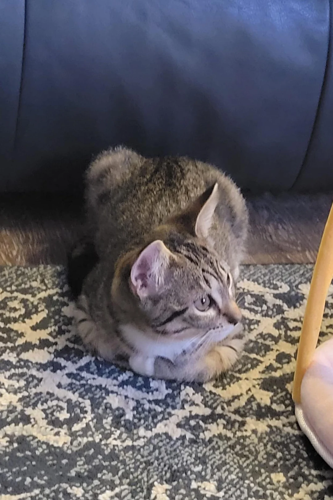 Sprout has discovered TV | Scrolller