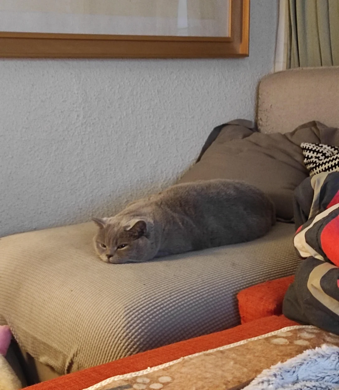 the ultimate loaf | Scrolller