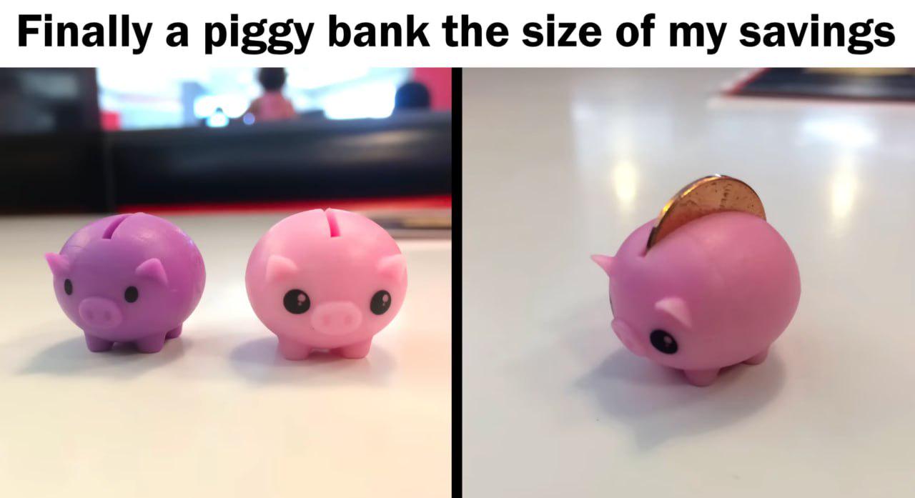 poor me - poor pig | Scrolller