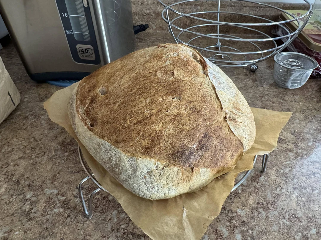 How do I get better oven spring? | Scrolller