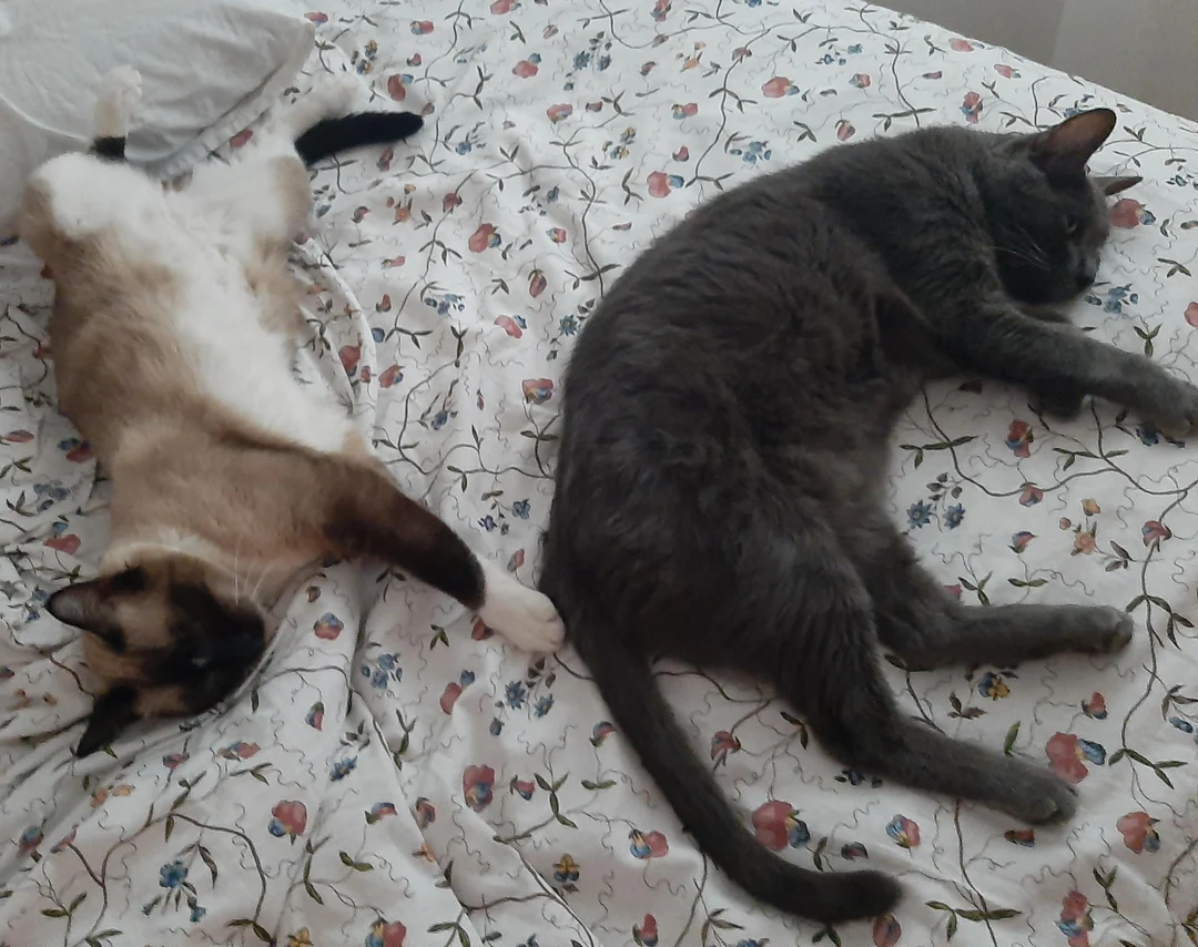 Touch da booty | Scrolller