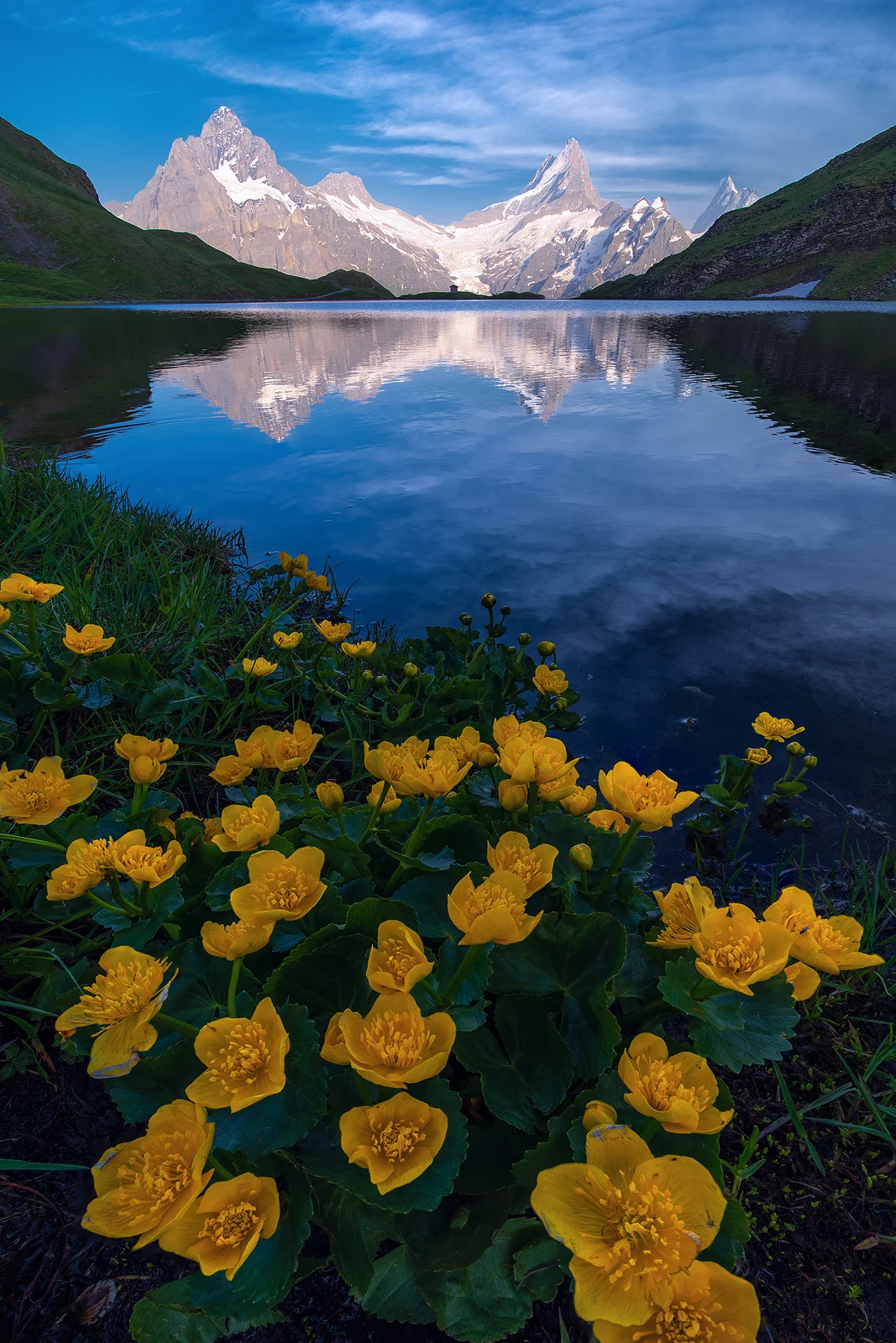 Swiss Alps in the summer [OC] [1067x1600] IG: arpandas_photography_adventure | Scrolller