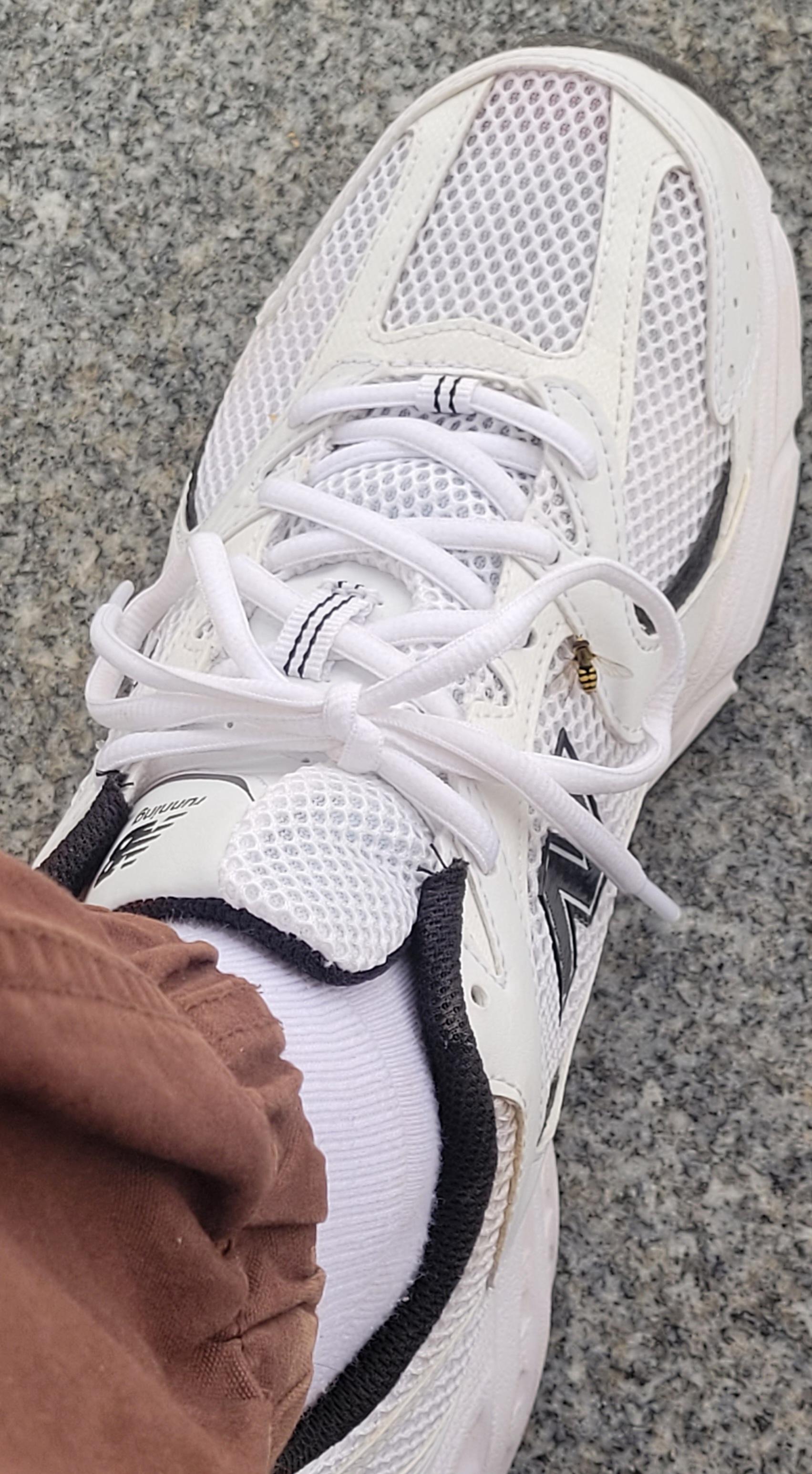 Was taking a picture of my new 530s and this lil dude came in to rest | Scrolller