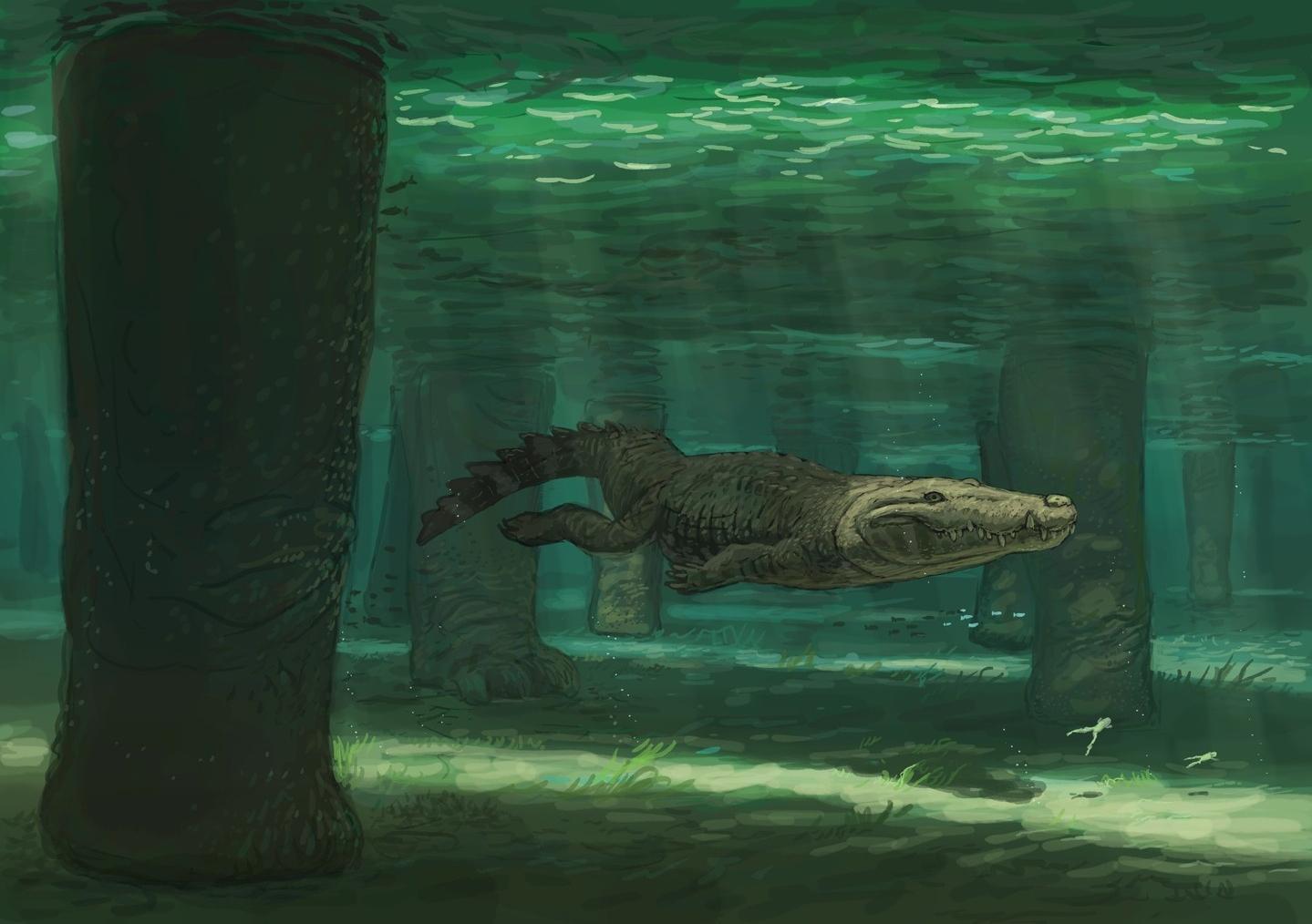 Titanochampsa gliding through shallow water, between the legs to Titanosaurs. | Scrolller