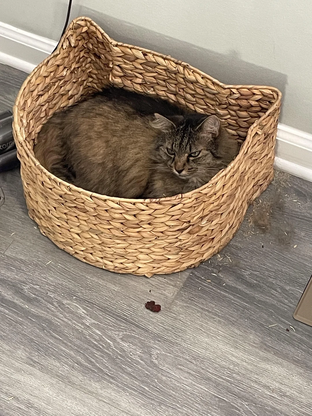 Floof loaf | Scrolller