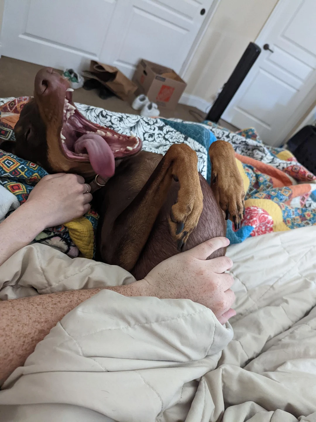 Casual Saturday Morning Activities | Scrolller