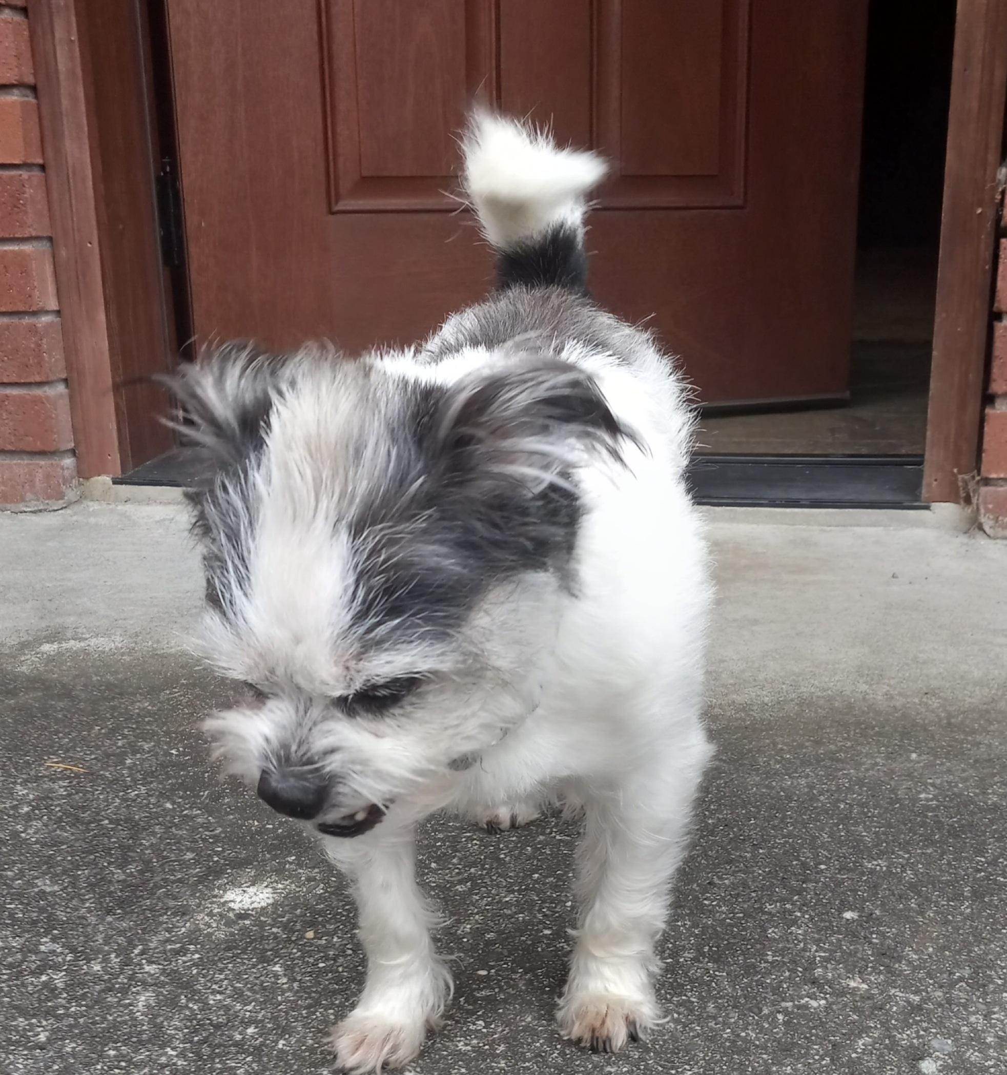 Creepy Cryptid crawled out from under the bed.. | Scrolller