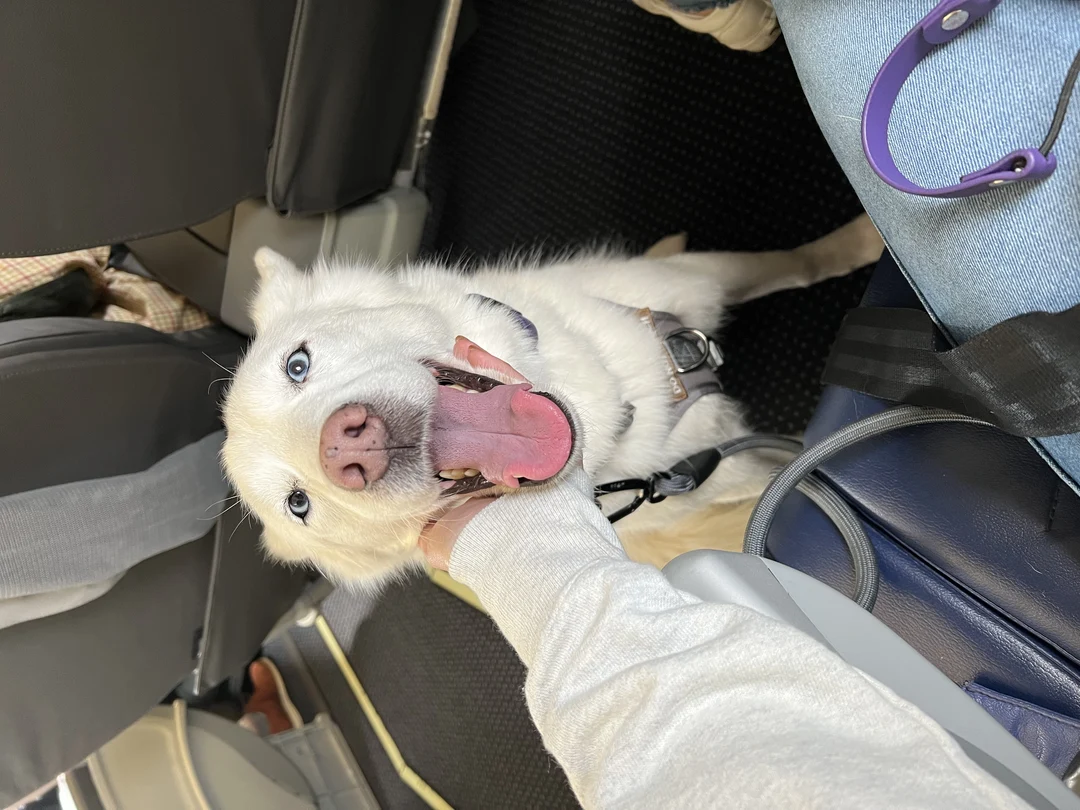 first flight | Scrolller