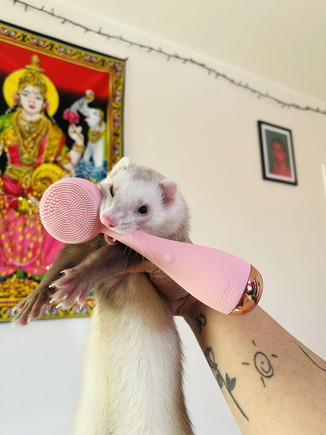 THIEF!!! | Scrolller