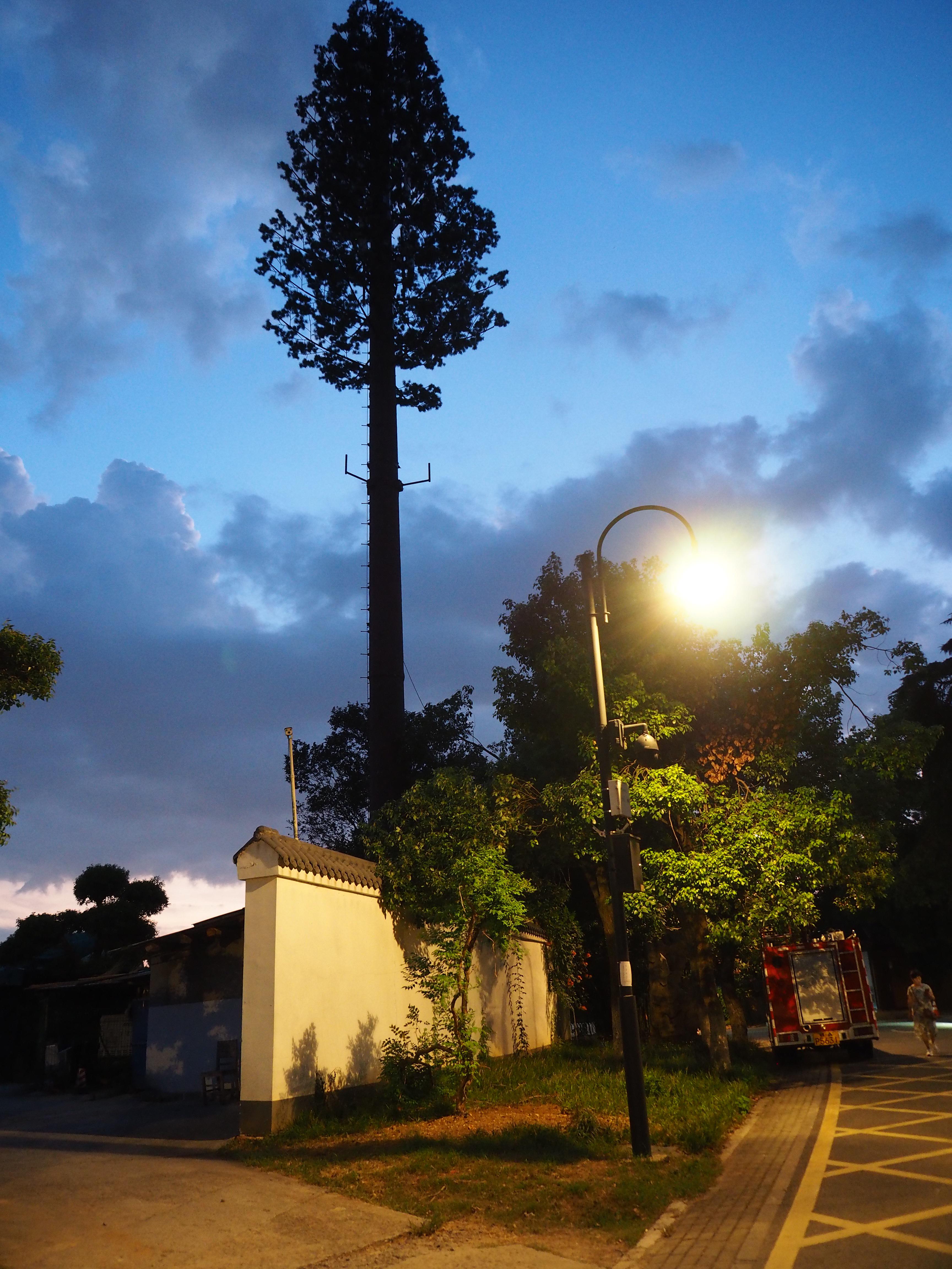 The Dusk | Scrolller