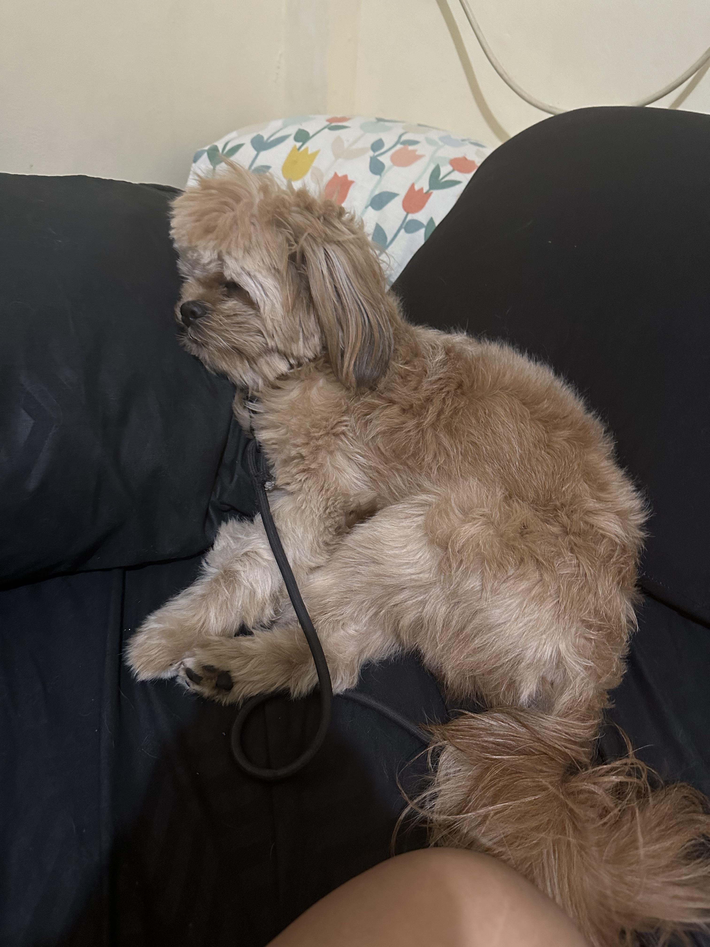 Sleeping in his bed. (Insert sarcasm here.) | Scrolller