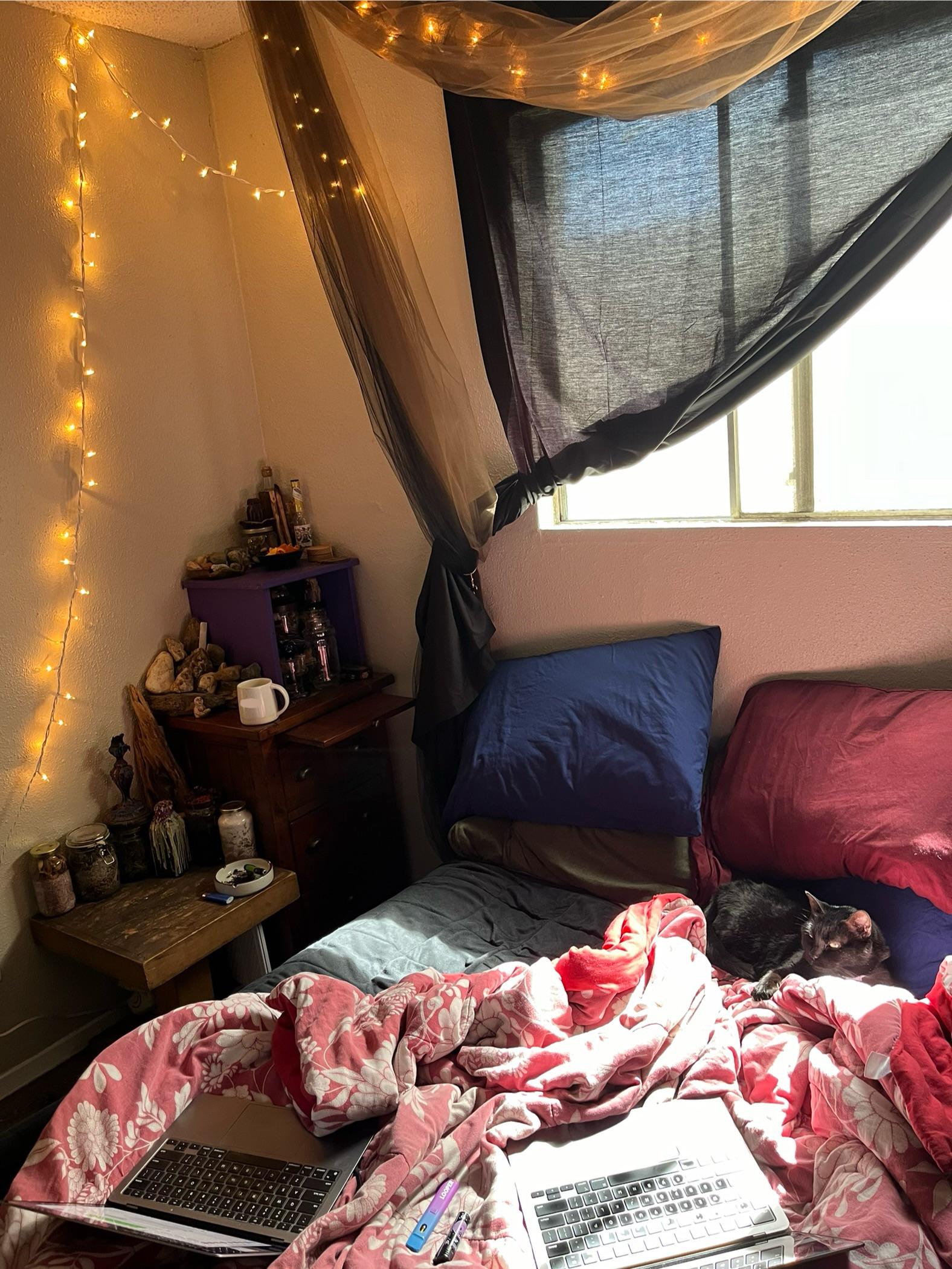 My cozy little corner | Scrolller