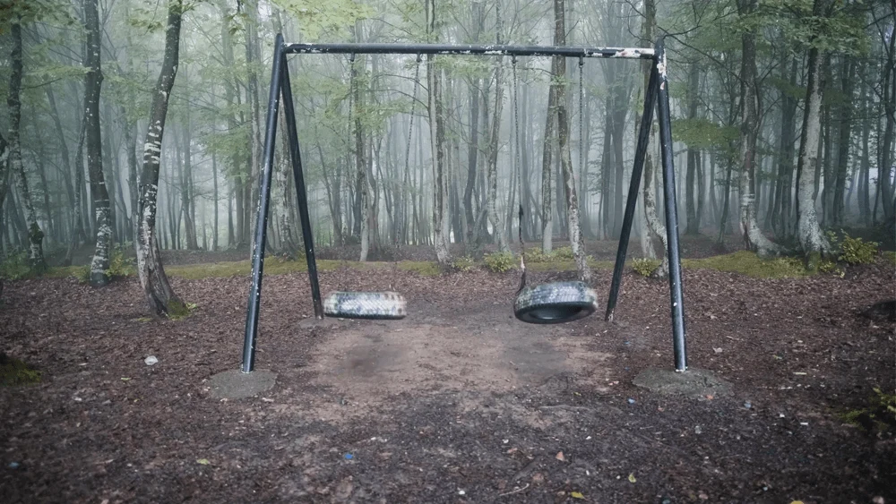 Swinging in the mist | Scrolller