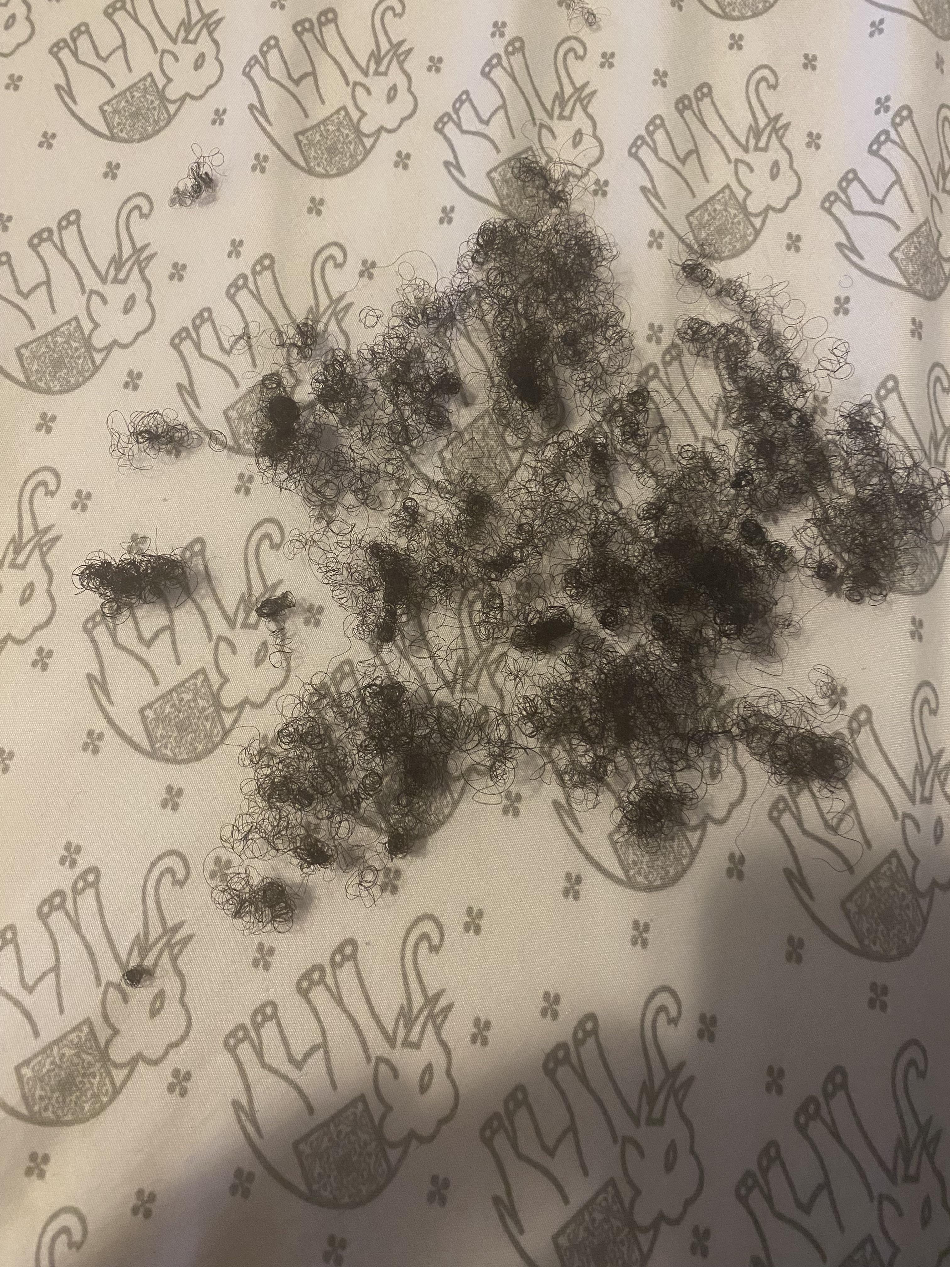 I took my twists out and is this a normal amount of shedding? | Scrolller