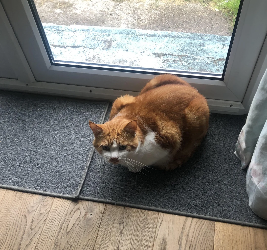 Slightly Undercooked Loaf | Scrolller