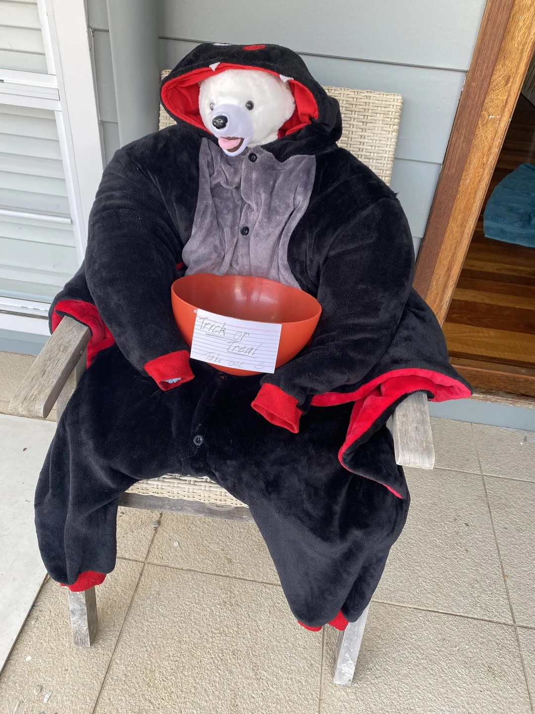 Mika guarding my choccies | Scrolller