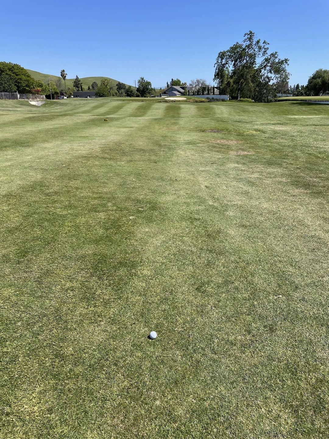 More disappointing…. | Scrolller