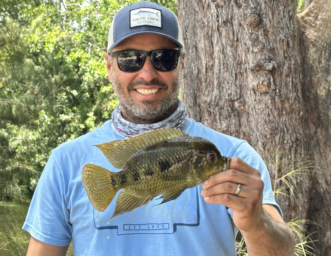 What species of fish is this? | Scrolller