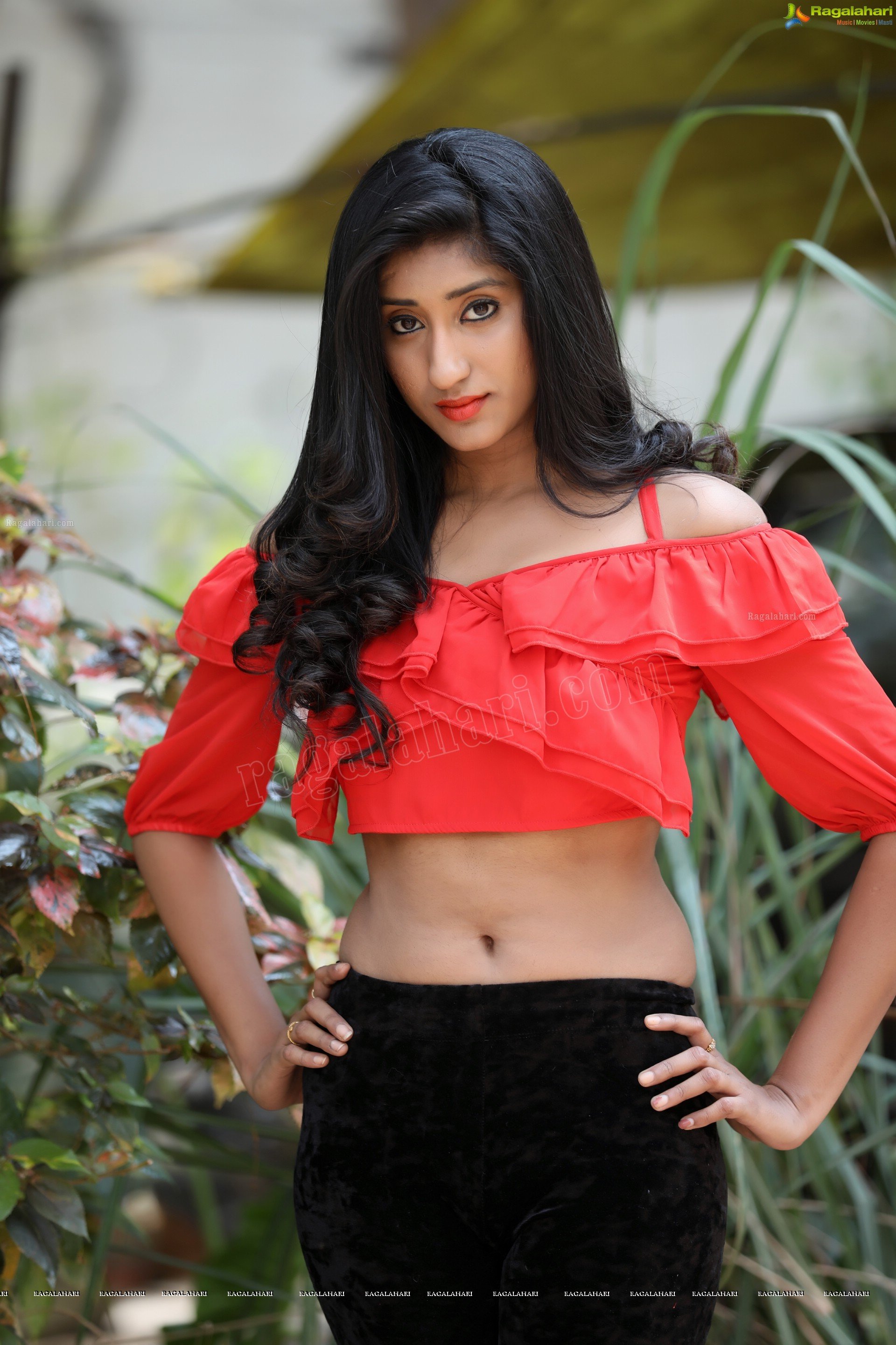 Brown Chicks | Scrolller