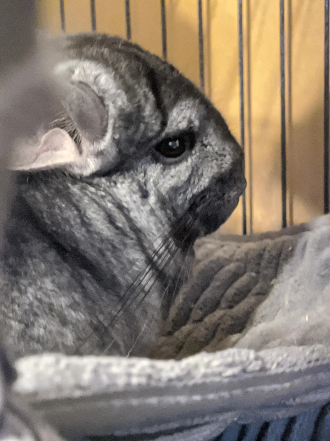 ranting about clueless family | Scrolller