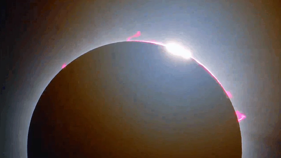 People Reactions To The Great American Eclipse 2024 | Scrolller