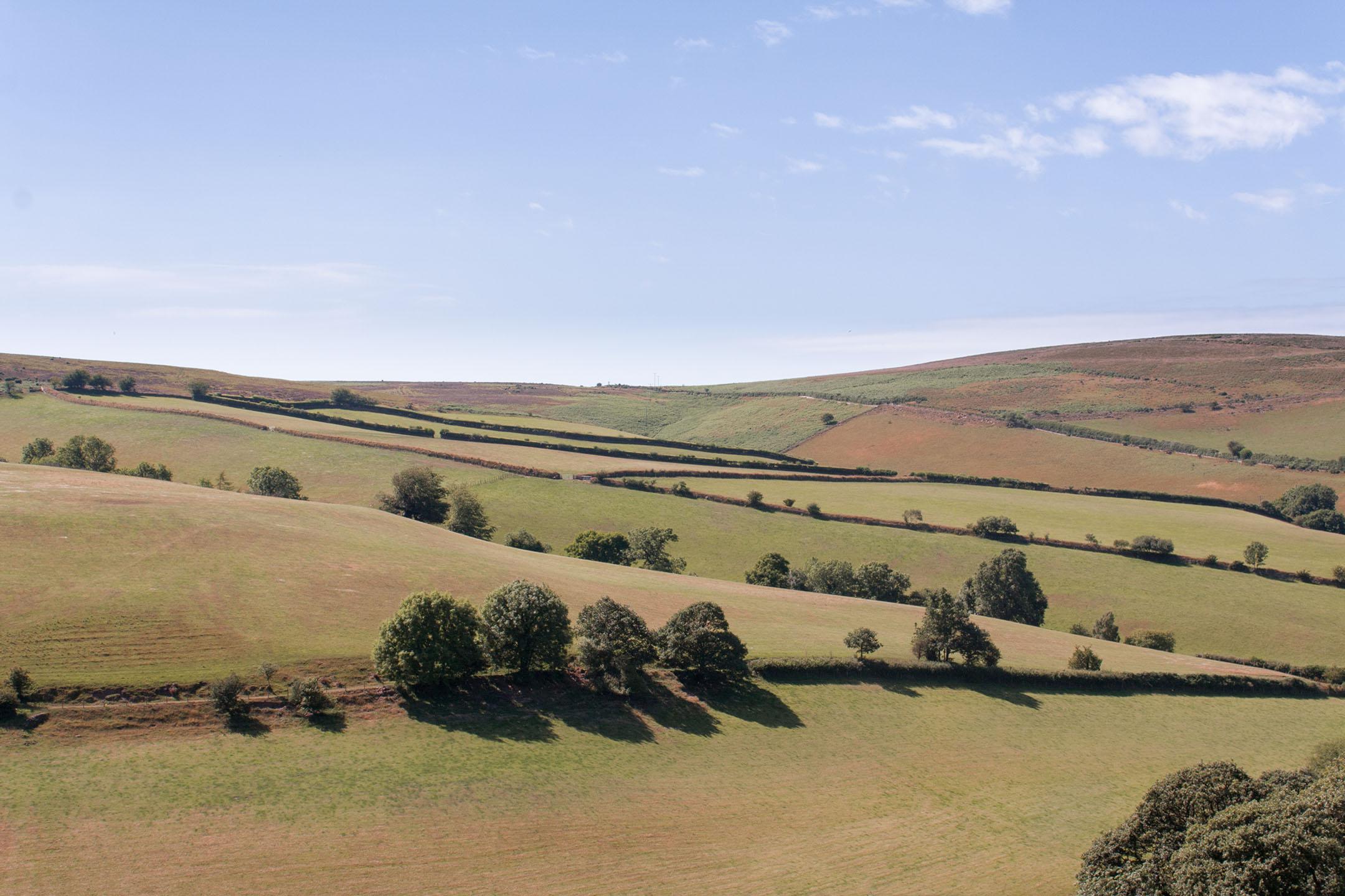 Walking in the heath of summer the shadows where far away, Exmoor England [OC] | Scrolller
